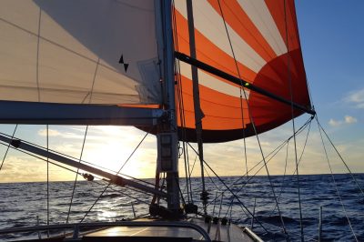 Transpac 2025 - Sail Racing Academy