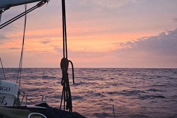 Transpac 2025 - Sail Racing Academy