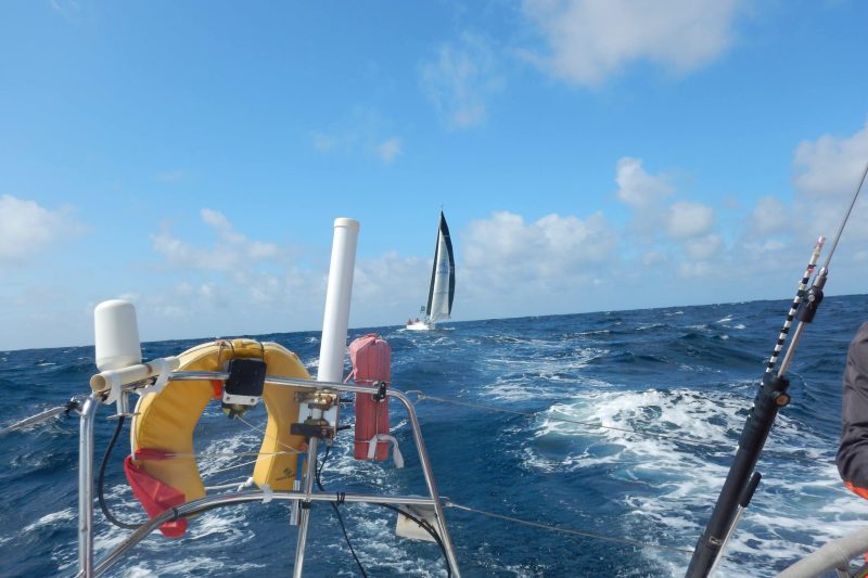 Rolex Fastnet Race 2025 - Sail Racing Academy